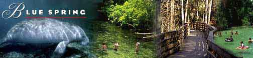 Blue Spring State Park | Orange City, Florida