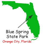 Blue Spring State Park | Orange City, Florida